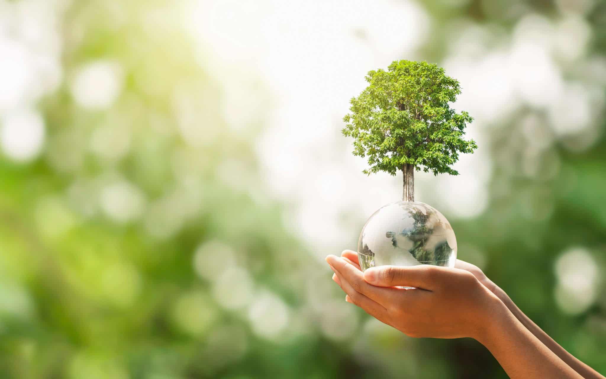 Climate Sunday 2021 – St Edmund's Church Crickhowell